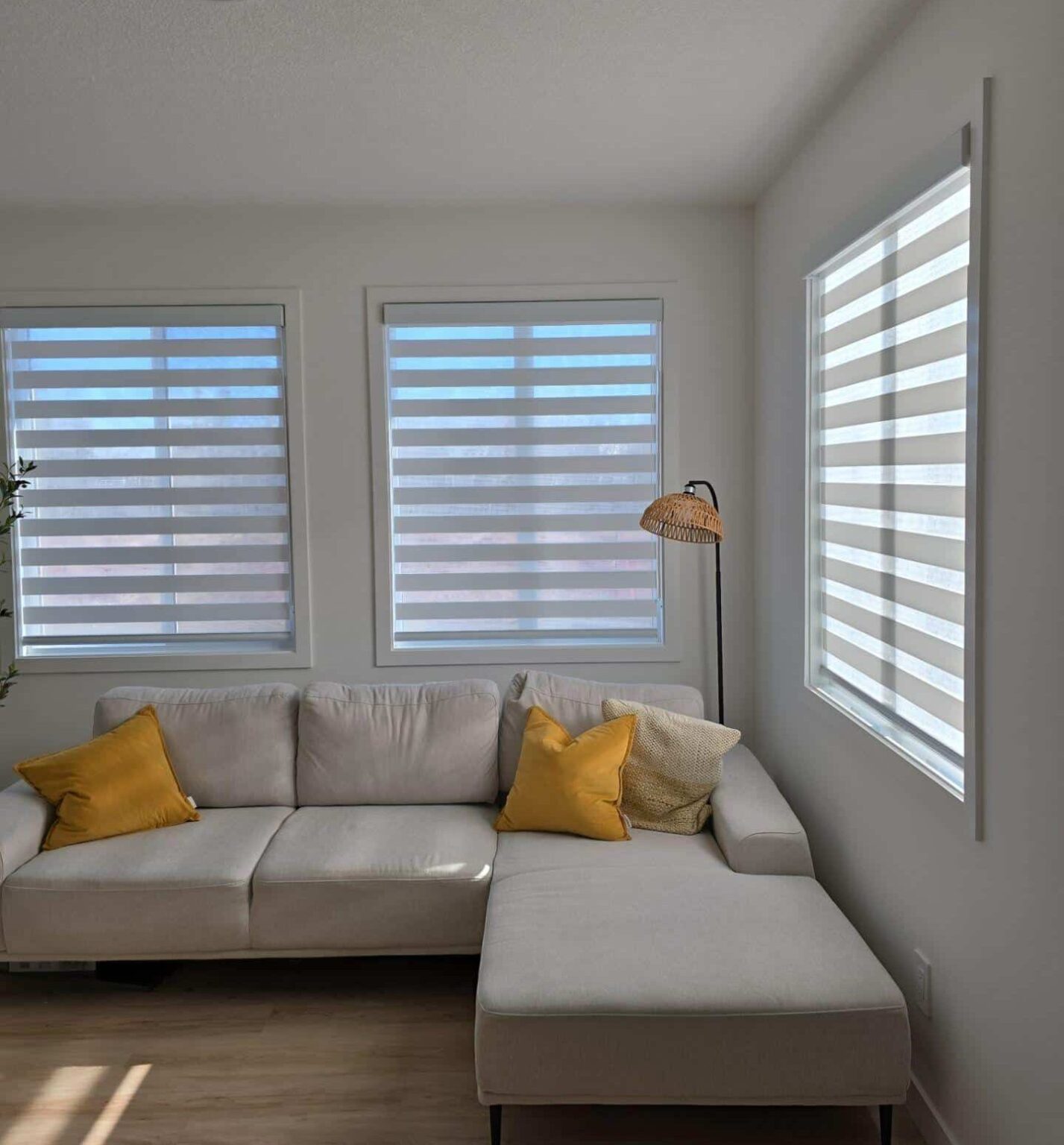 Custom Window Blinds & Shades in Edmonton | Bold Blinds